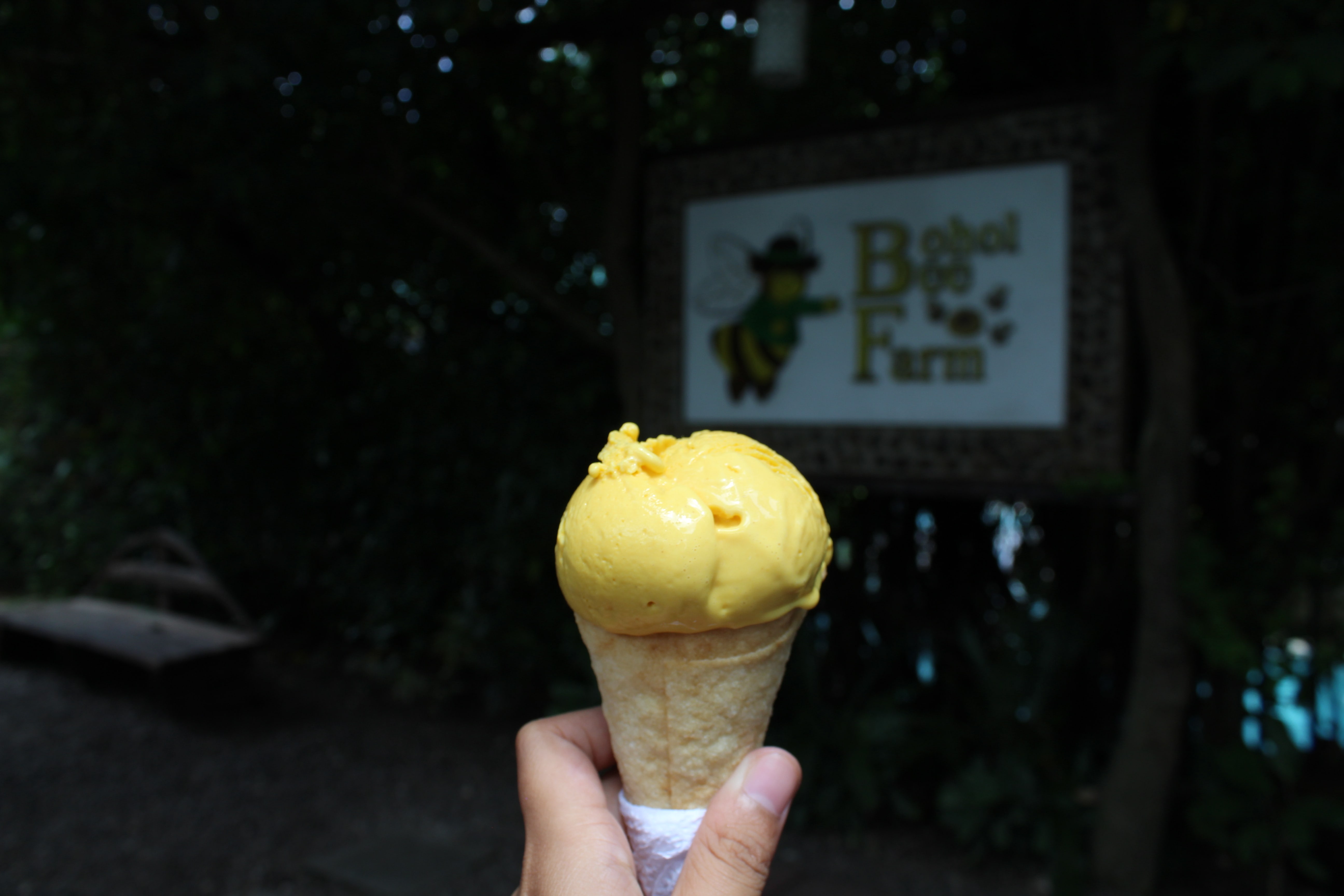 Bohol Bee Farm Resort & Tour – The Boholana