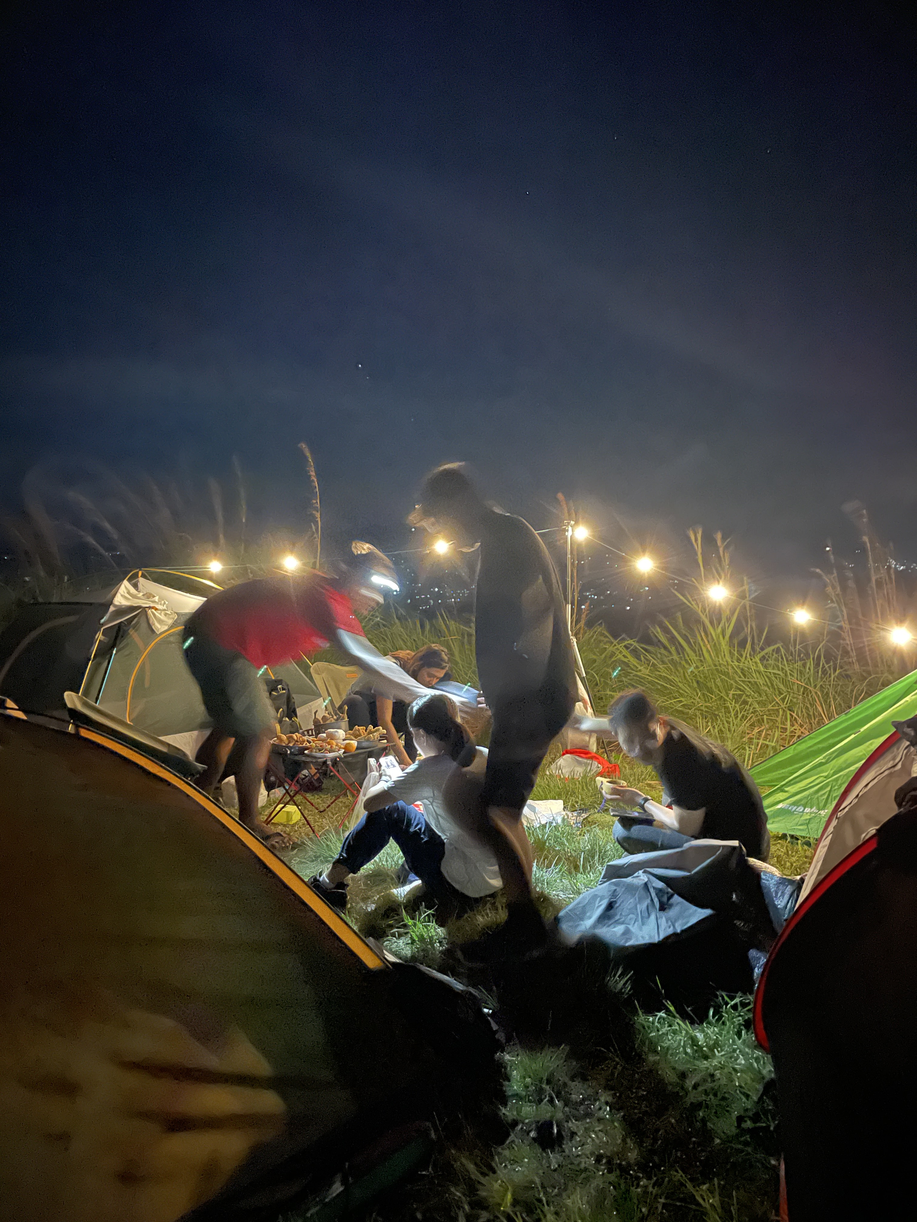 A Guide to Hiking + Camping at Alicia Panoramic Park, Bohol – The Boholana