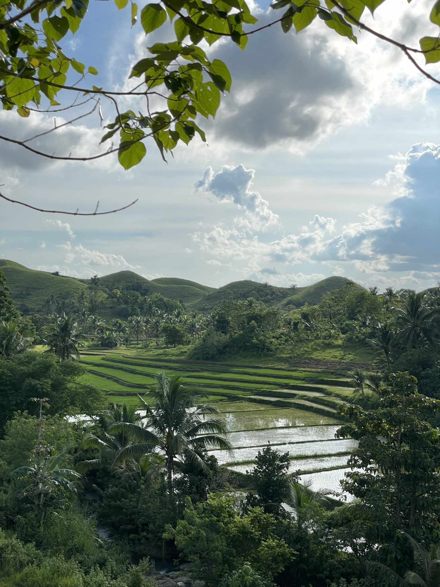 A Guide to Hiking + Camping at Alicia Panoramic Park, Bohol – The Boholana