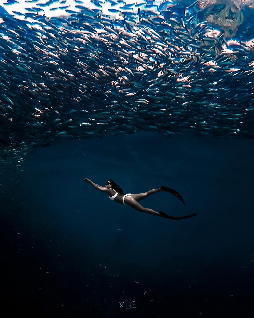 Where to Freedive in Bohol, Philippines? – The Boholana